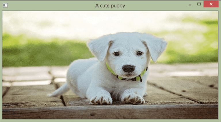 Image Processing In Python Using Opencv Introduction Coseries