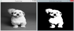 Image Thresholding in Python Using OpenCV | coseries